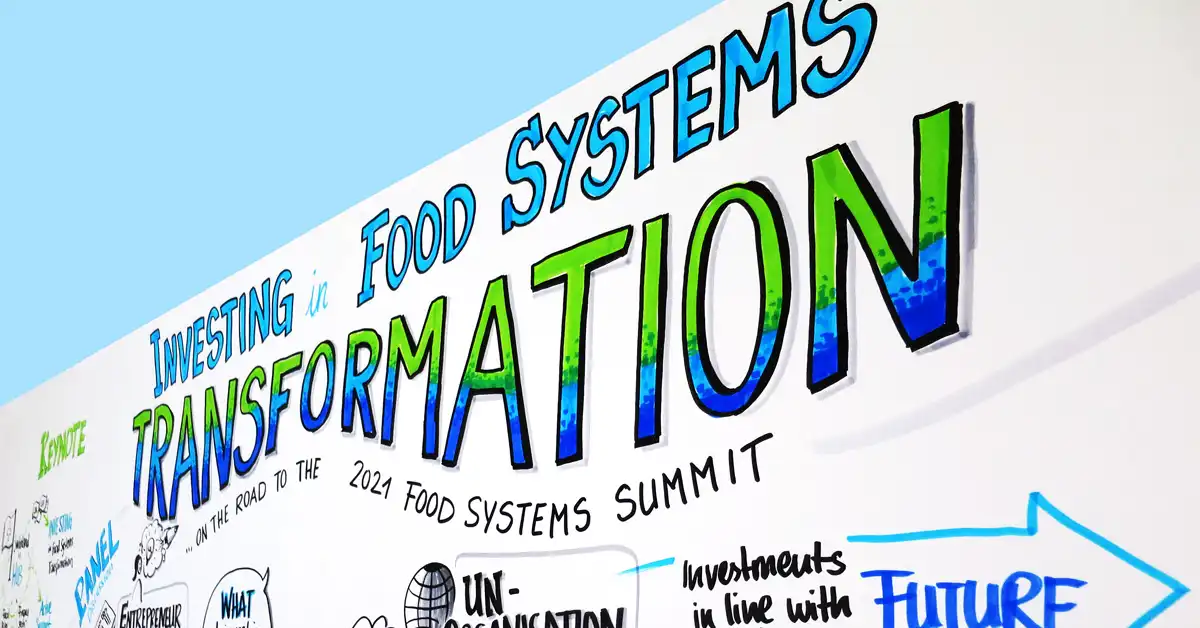 Investing in Food System Transformation | Graphic Recording